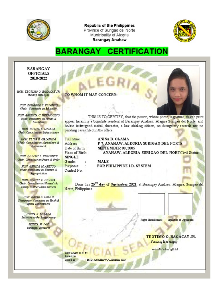 Barangay Certification: Republic of The Philippines | PDF | Government