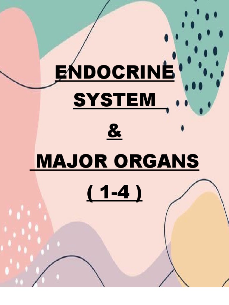 Endocrine System & Major Organs (1-4) | PDF | Endocrine System | Human Body