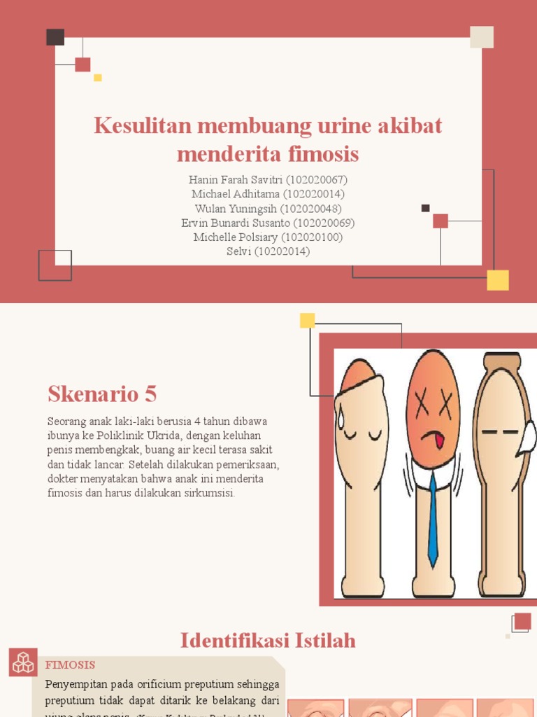 Fimosis | PDF