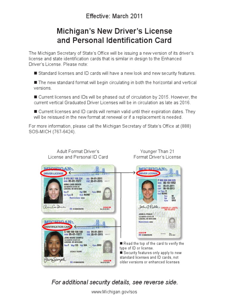New DL General Audience Info Sheet | PDF | Identity Document | Driver's ...