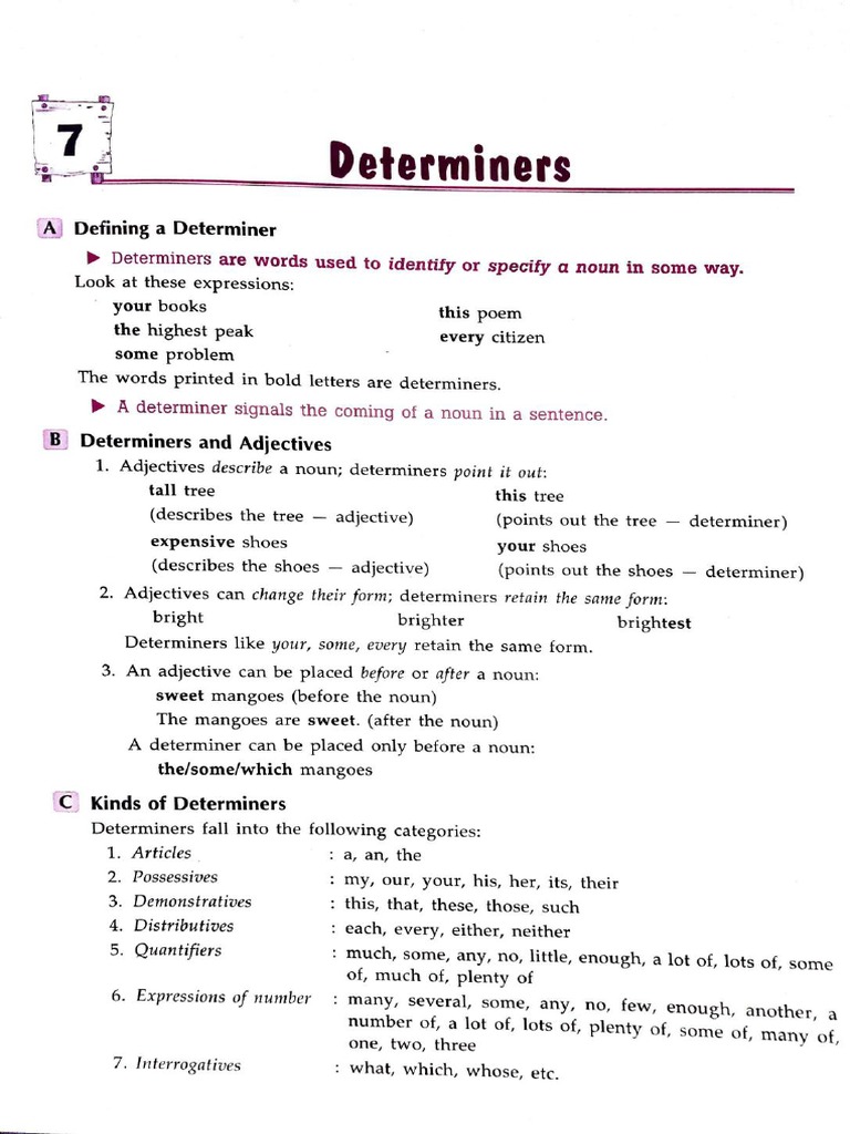 Determiners: ( Defining A Determiner | PDF | Linguistic Morphology | Syntax