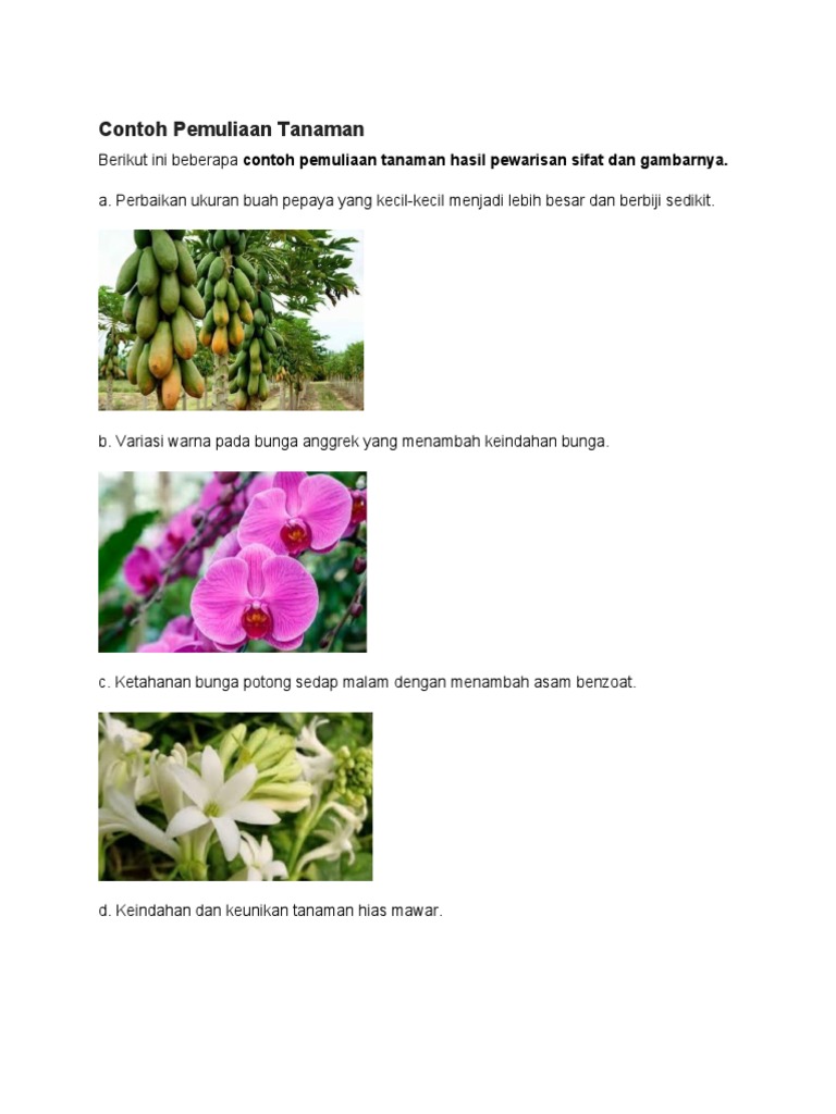 Contoh Pemuliaan Tanaman Dan Hewan | PDF