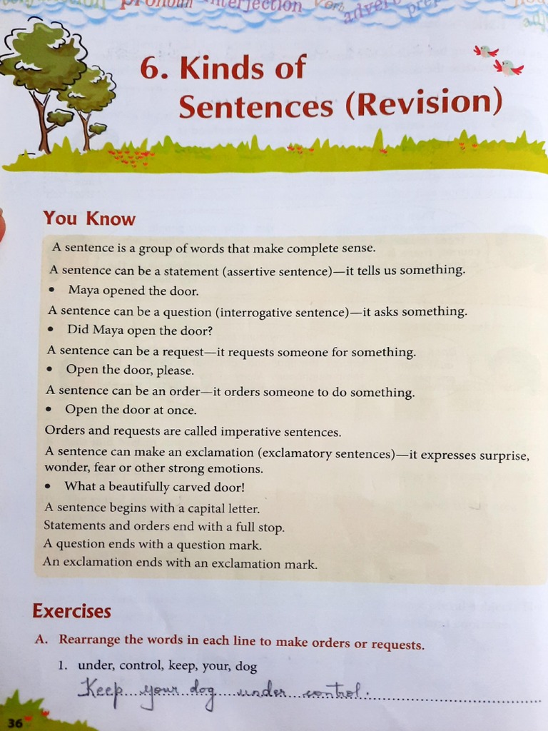 cl-7 Kinds of Sentences | PDF