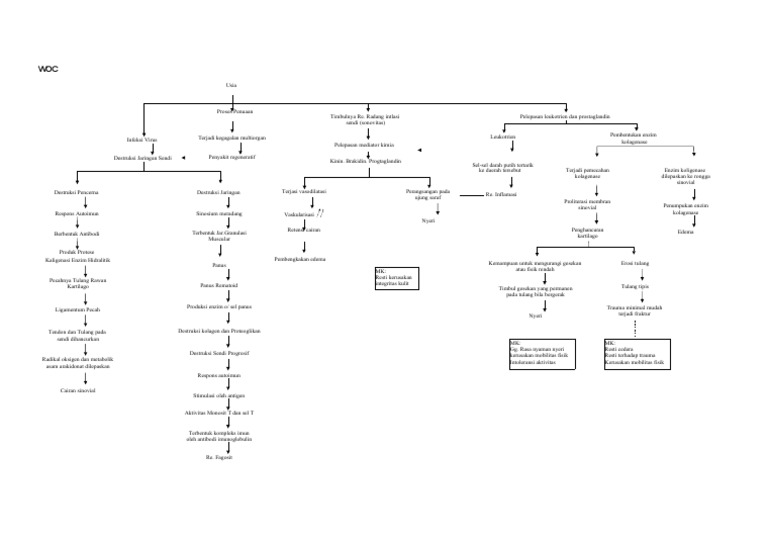 WOC Rematik | PDF
