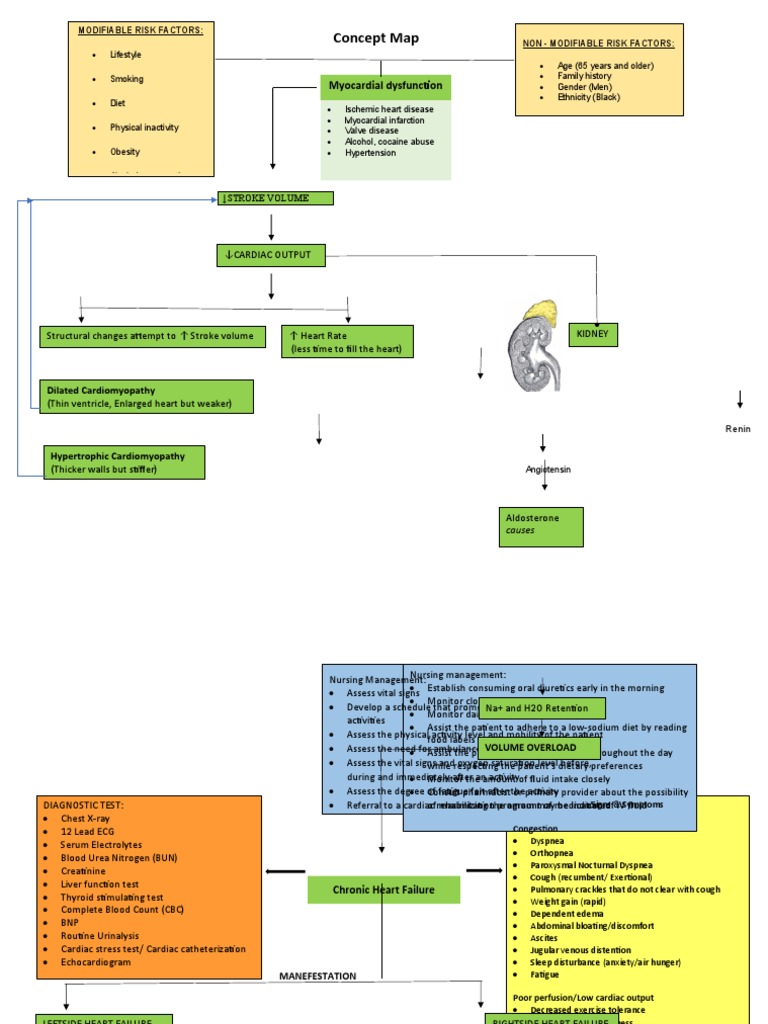GRP 4 Report Concept Map | PDF | Heart | Clinical Medicine