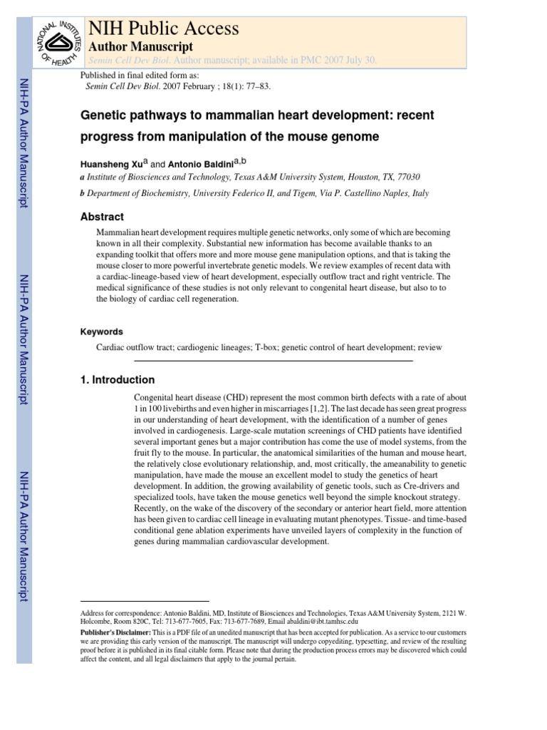 Genetic Pathways To Mammalian Heart Development Recent Progress From ...