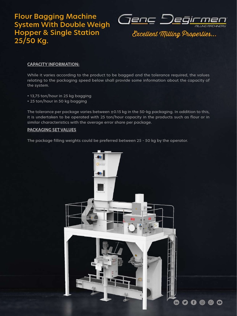 Flour Bagging Machine System With Double WeighHopper Single Station ...