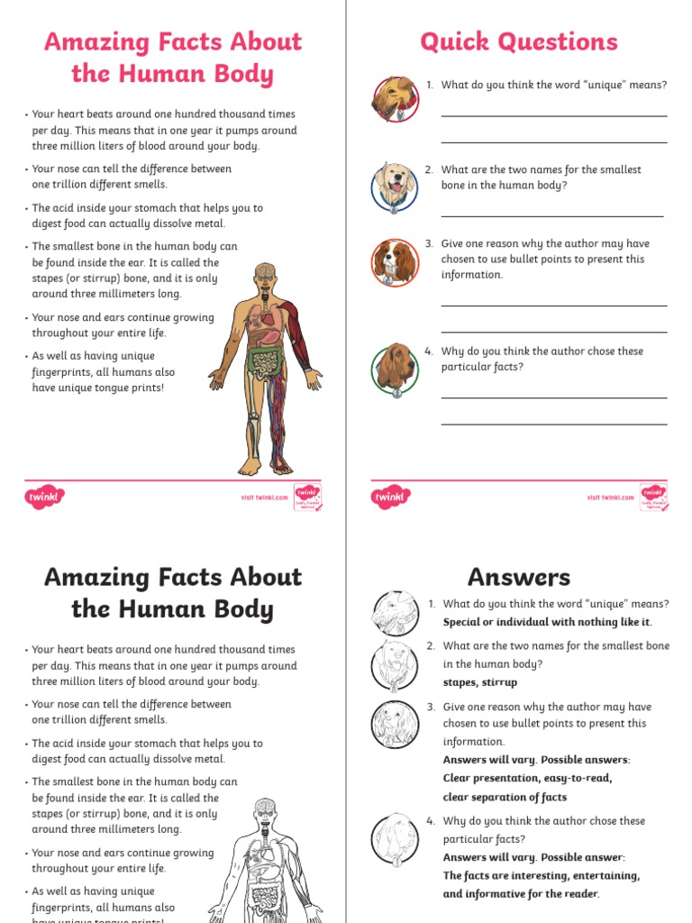 The Human Body Facts Worksheets Key Systems For Kids