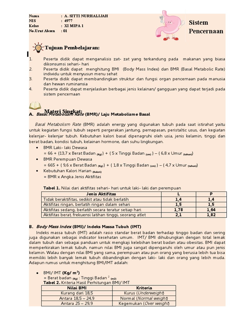 LKPD Sistem Pencernaan | PDF