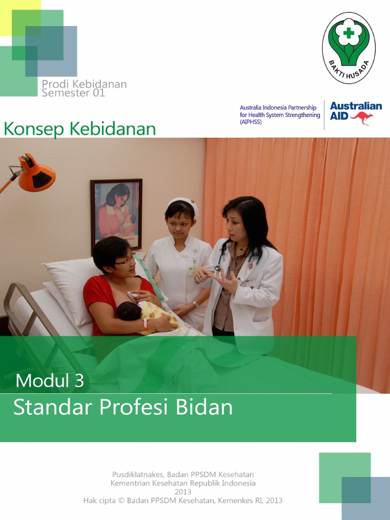 Modul 3 - Standar Profesi Bidan | PDF