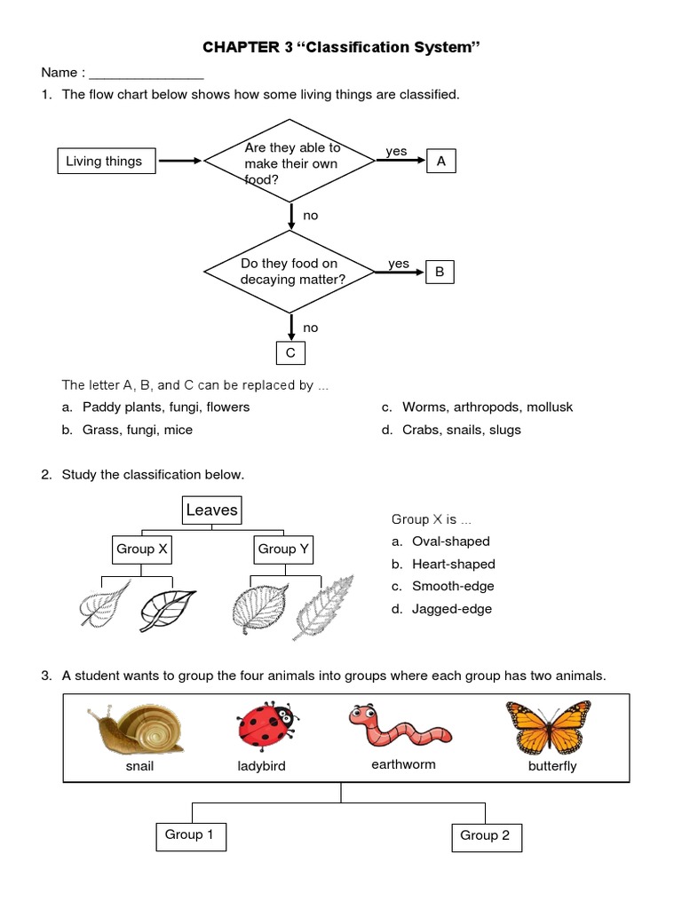 Dichotomous Key Classification Practice | PDF | Flowers | Trees