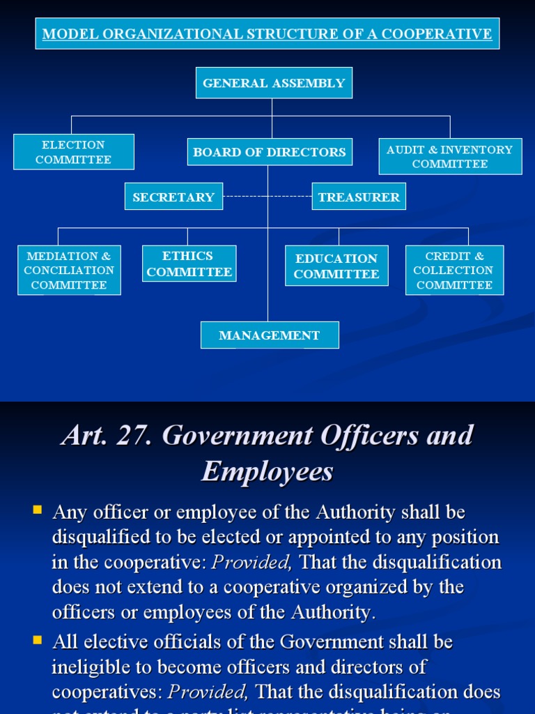 Organizational Structure - RA 9520 | PDF | Government | Justice
