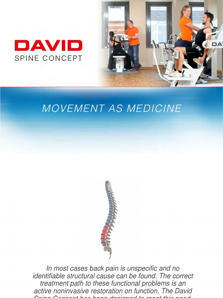 David Spine Concept Presentation | PDF | Back Pain | Pain