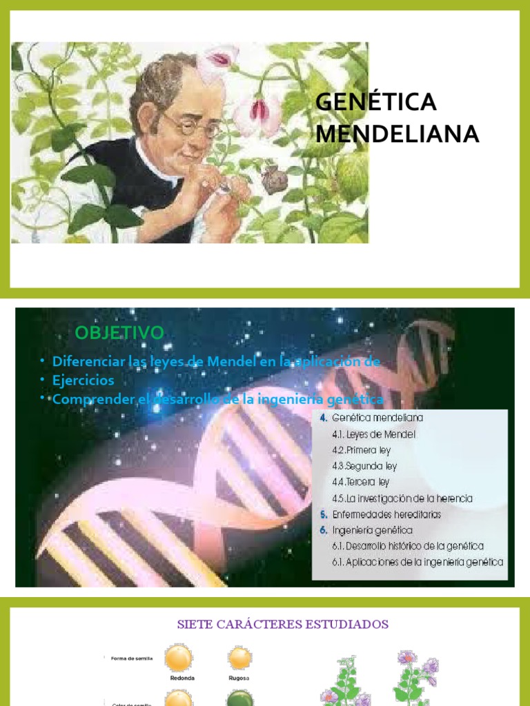 Genética Mendeliana | PDF