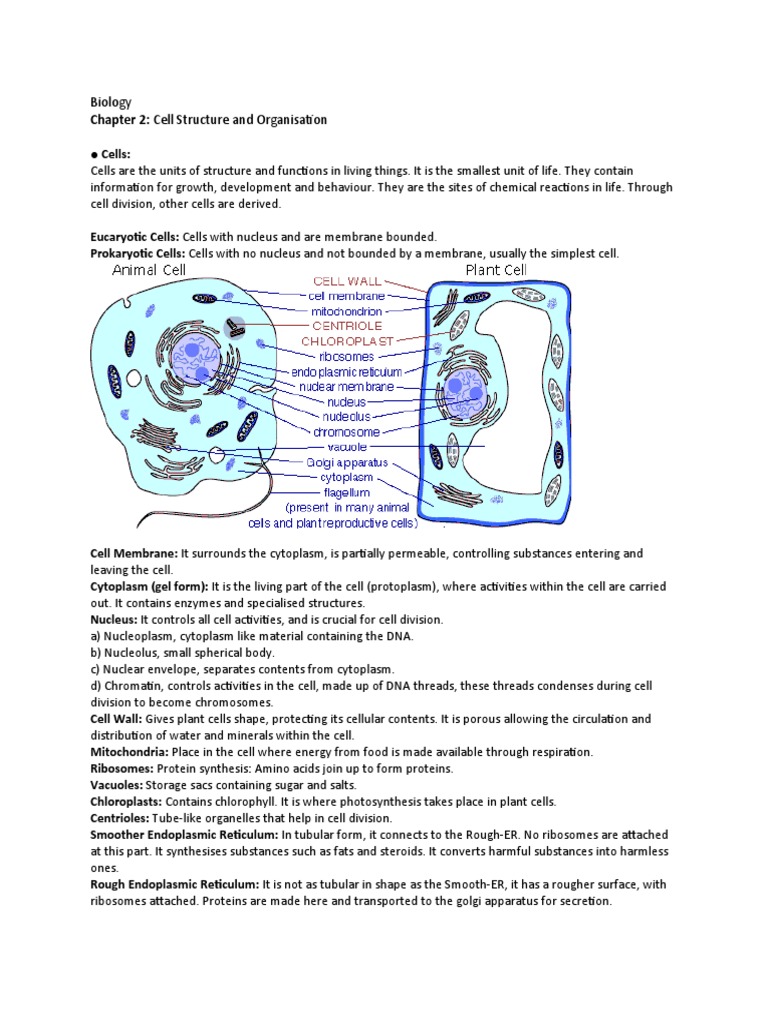 Biology Chapter 2 Cell Structure and Organization | PDF | Cell (Biology ...