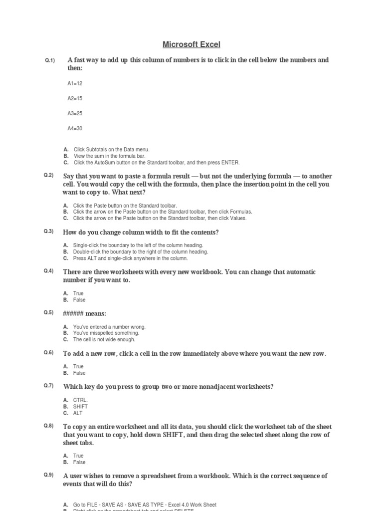 Computer Practical | PDF | Spreadsheet | Microsoft Excel