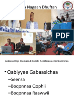 Gabaasa Kurmaana 2ffaa Bara 2017 | PDF