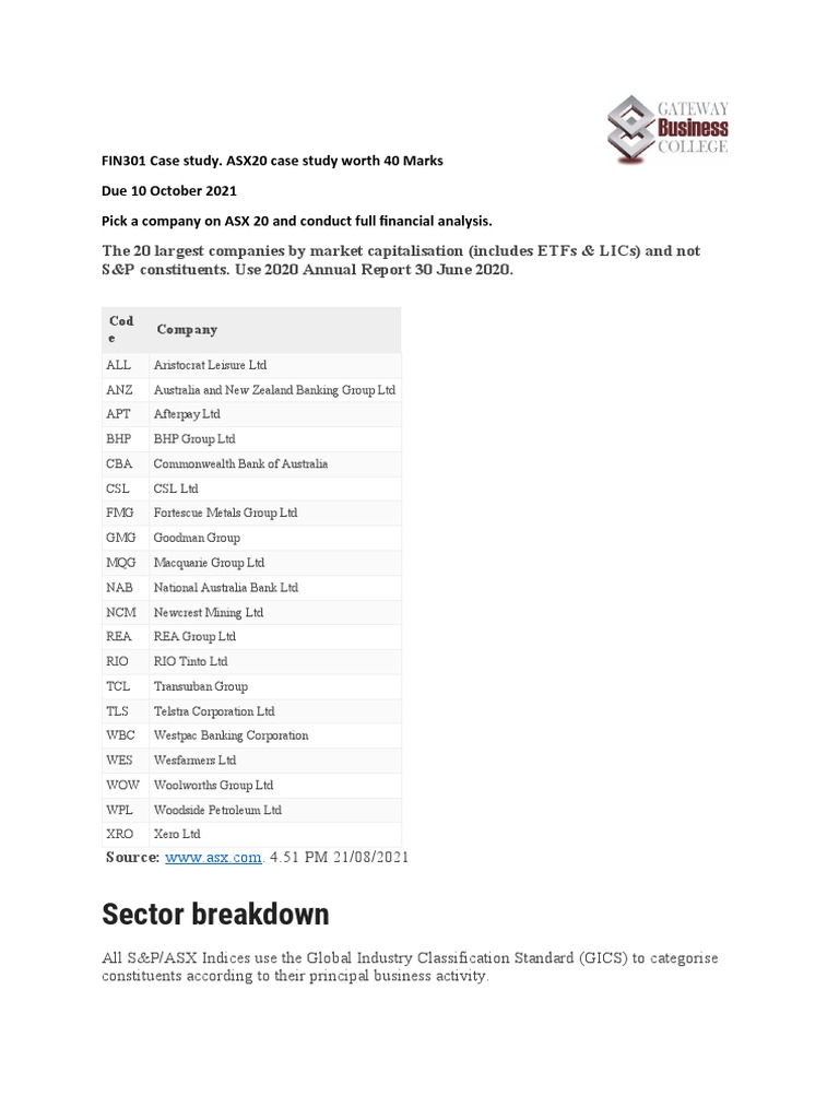 FIN301 Case Study Version 1 | PDF