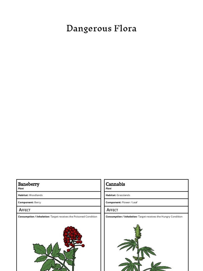 Deadly Flora and Their Effects | PDF | Plants | Habitat