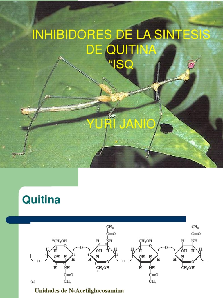 Inhibidores de la síntesis de la quitina y su mecanismo de acción como ...