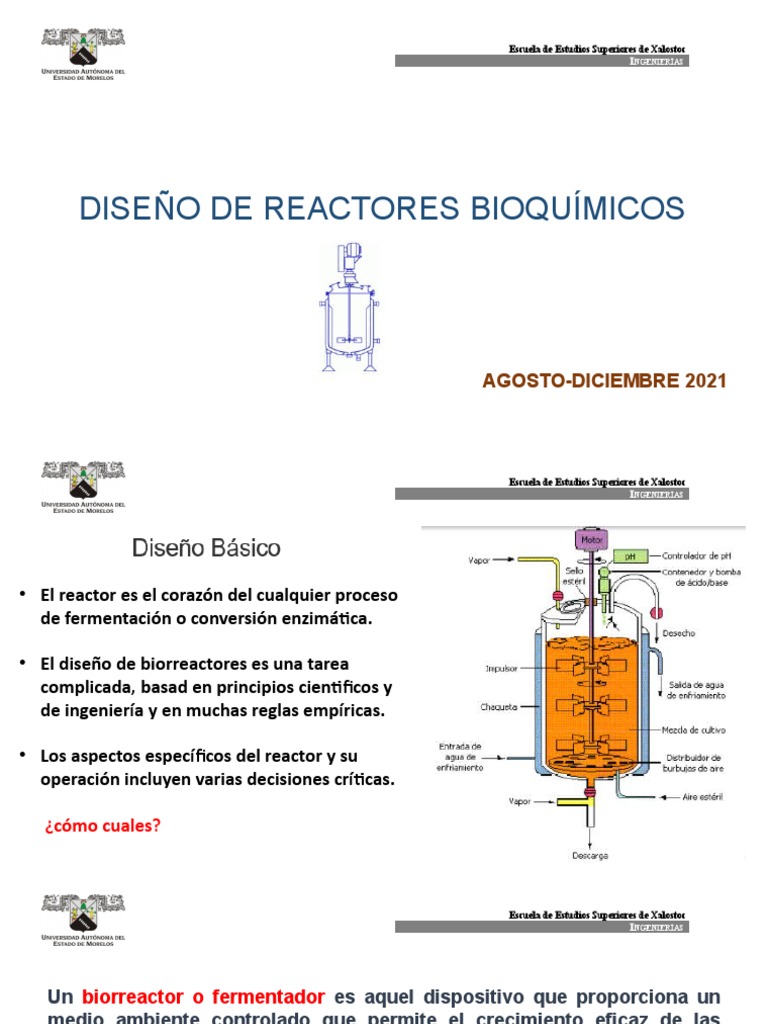 Presentación 1 Reactores Bioquímicos REPASO | PDF | Biología | Química