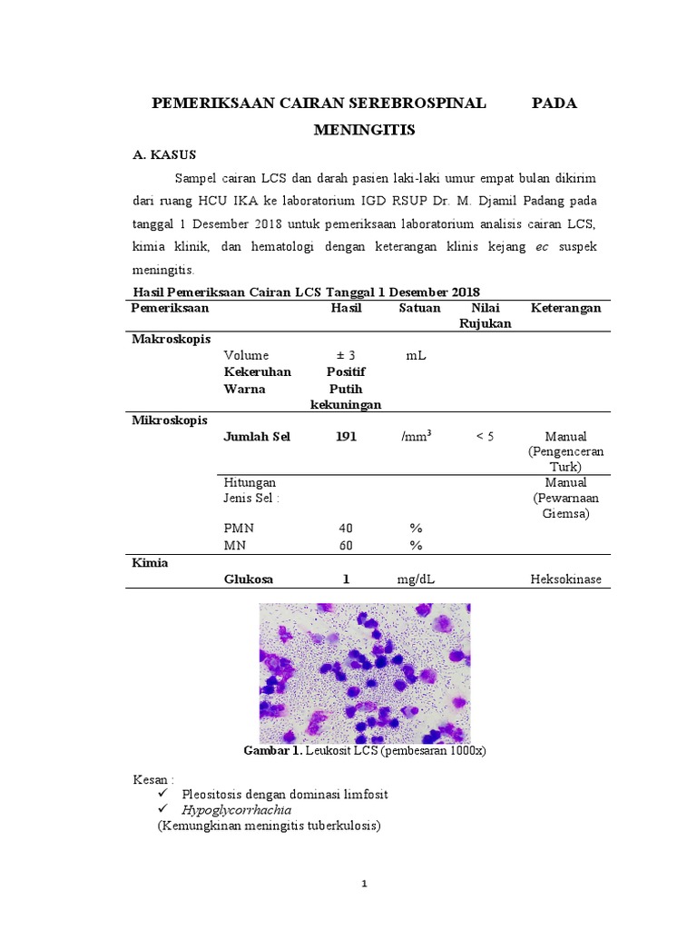 Pemeriksaan LCS Pada Meningitis | PDF