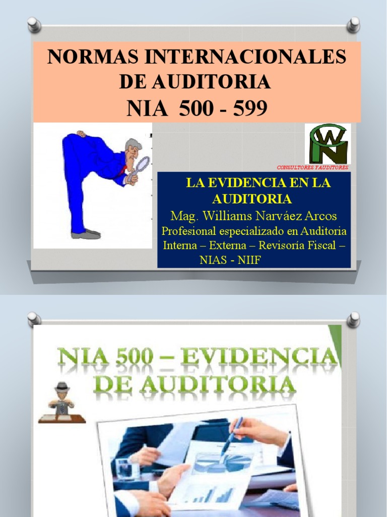 Nia 500 Evidencia | PDF | Auditoría | Contabilidad