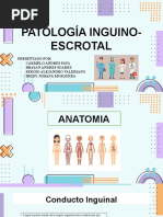 Clasificación de Fimosis Kayaba | PDF | Mamíferos machos | Pene