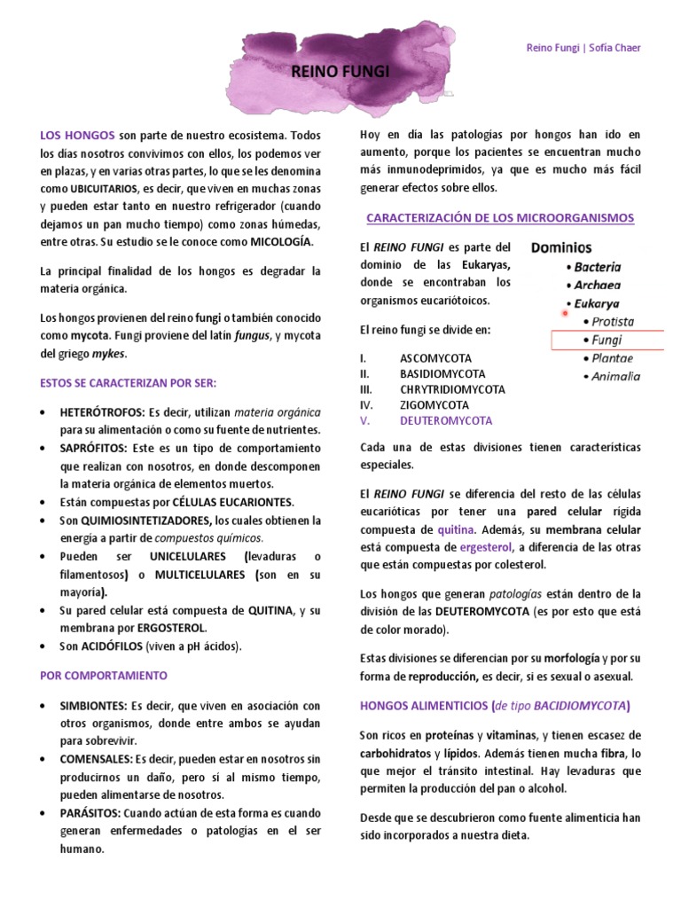 6 - Reino Fungi | PDF | Hongo | Reproducción sexual