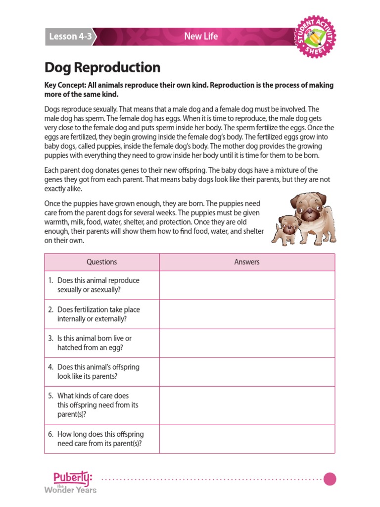 4 3.5 Student Activity Sheet Dog Reproduction | PDF | Reproduction ...