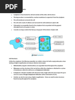 Calculating Magnification Worksheet | PDF
