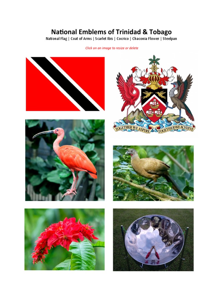 National Emblems of Trinidad & Tobago - Do | PDF