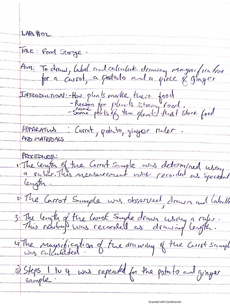 Lab 2 Drawing Food Storage | PDF