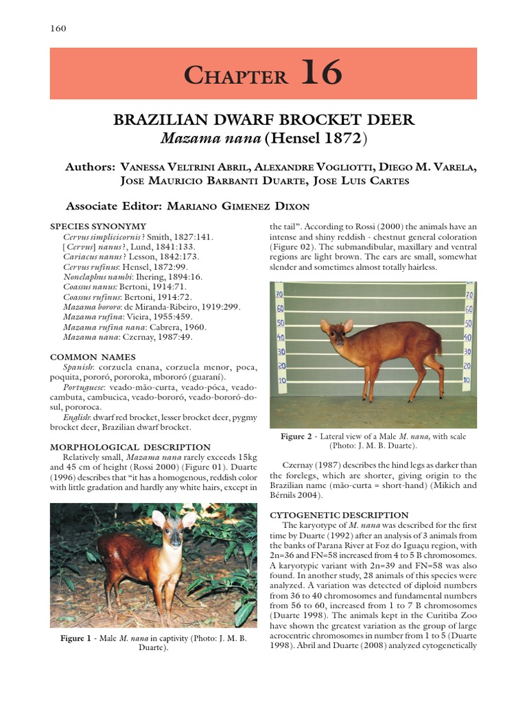 Hapter: Brazilian Dwarf Brocket Deer (Hensel 1872 | PDF | Karyotype ...