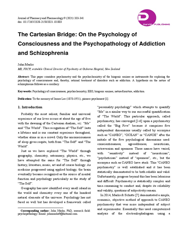 The Cartesian Bridge: On The Psychology of Consciousness and The ...