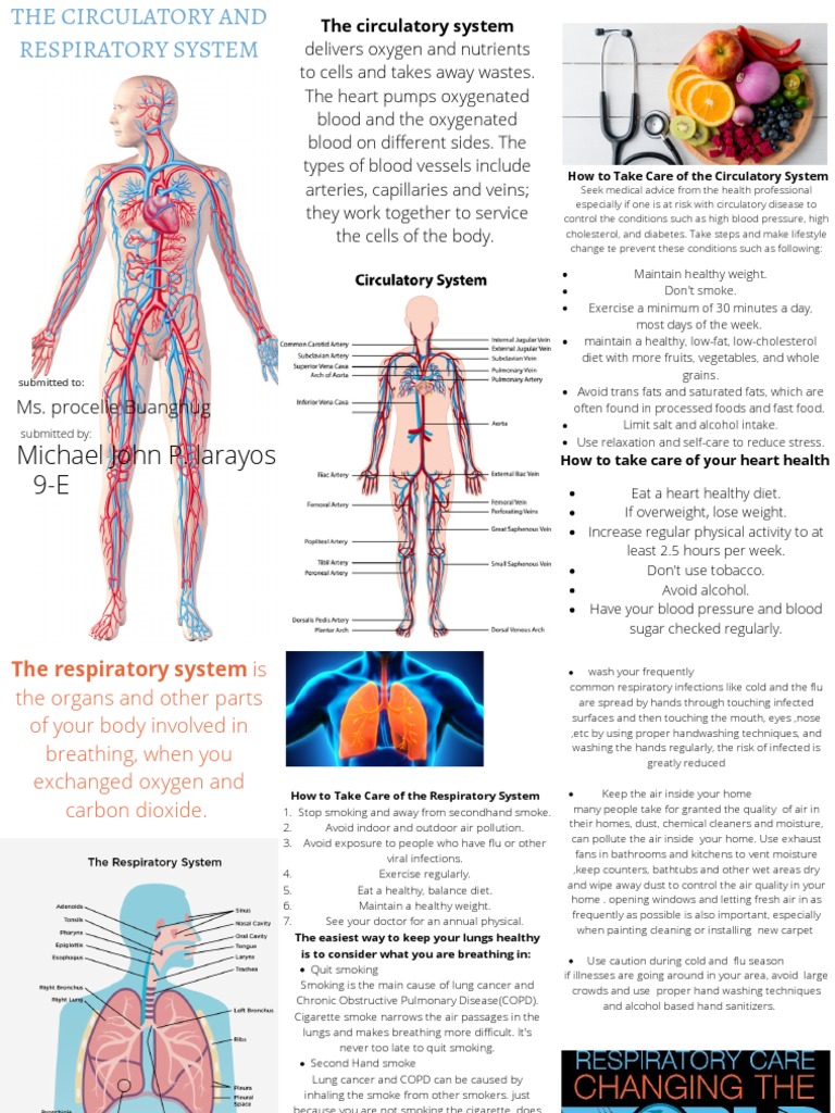Caring for Respiratory and Circulatory Health | PDF | Circulatory ...