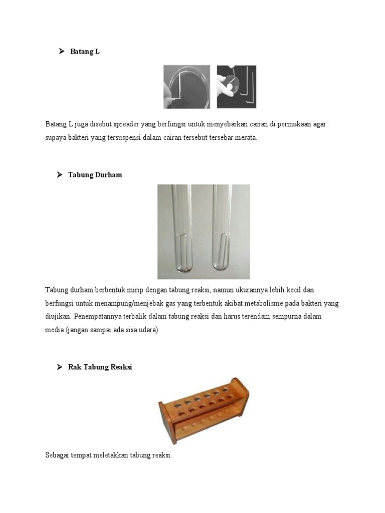 Batang L, Tabung Durham, Rak Tabung Reaksi, Mortar, Jarum Ose, Dan ...