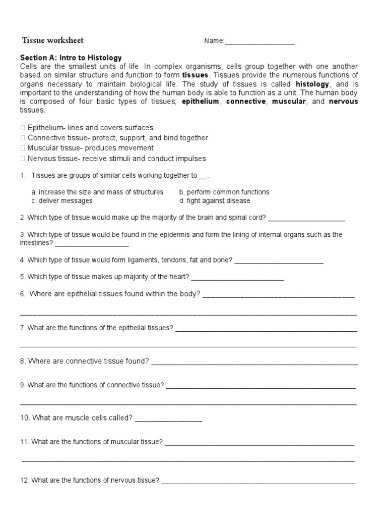 Tissue Worksheet: Section A: Intro To Histology | PDF | Tissue (Biology ...