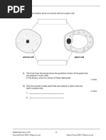 KS3 Science Revision Worksheets Cells | PDF | Vacuole | Cell (Biology)