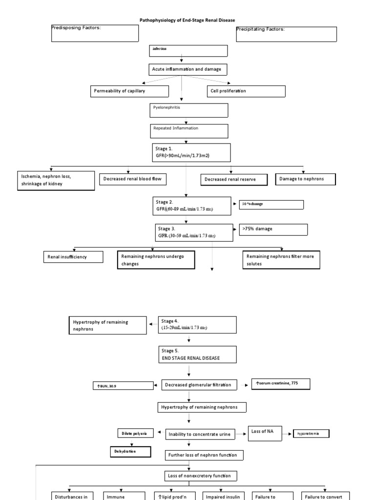 Pathophysiology of ESRD | PDF