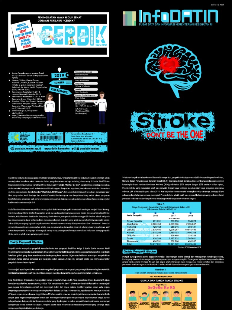 Infodatin Stroke Dont Be The One | PDF