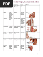 Muscle OIA | PDF | Vertebral Column | Vertebra