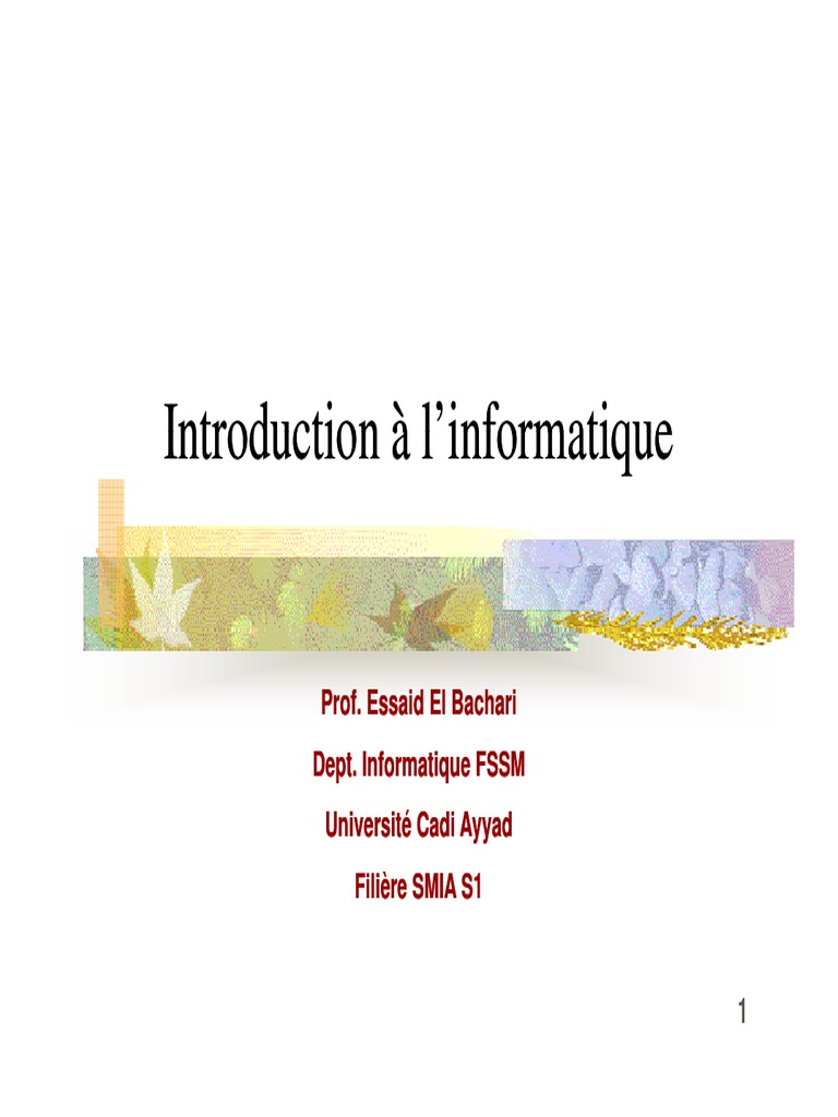 Introduction à l'informatique et modules | PDF | Informatique | Matériel informatique