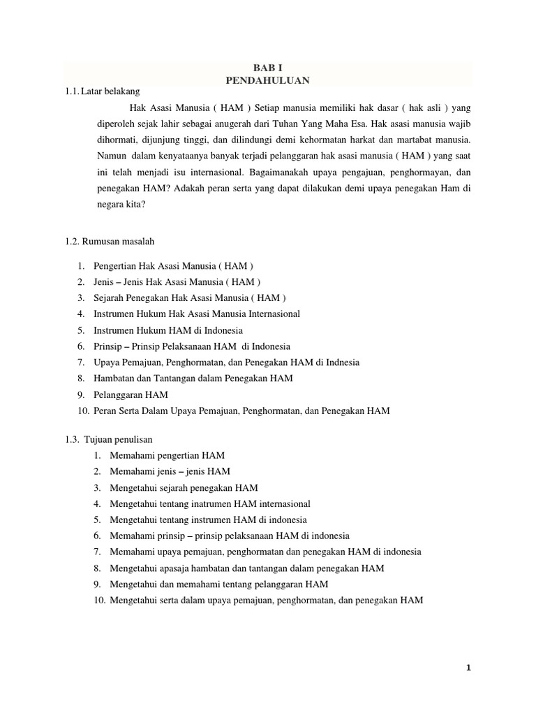 Makalah HAM | PDF
