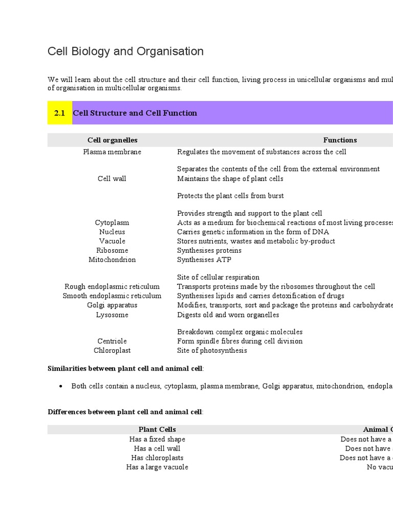 Biology Notes Chpter 2 | PDF | Tissue (Biology) | Human Body