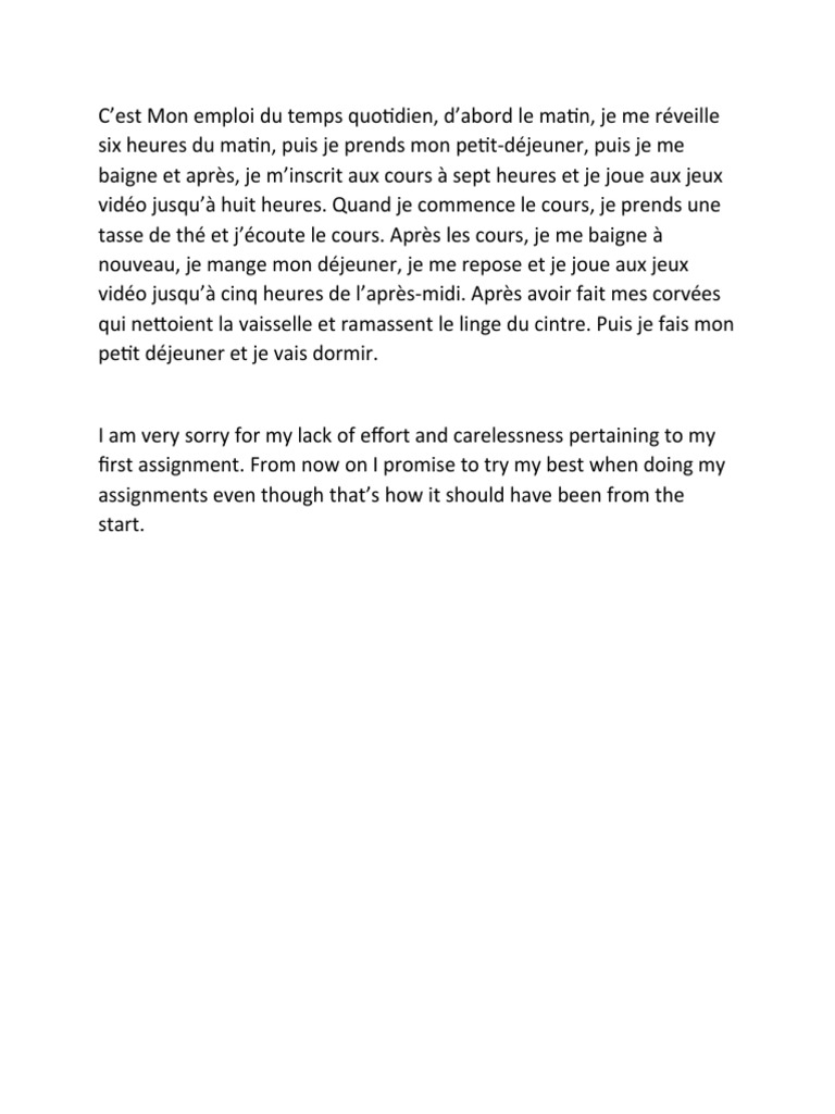 French Essay | PDF
