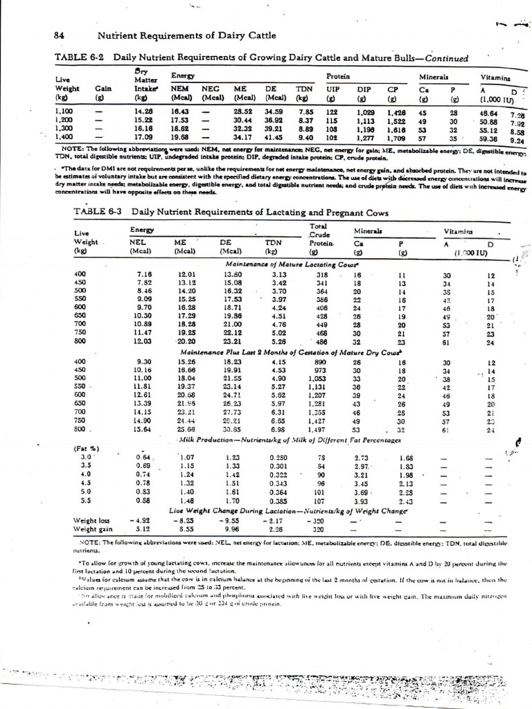 Tabla NRC Requerimiento Vacunos Lecheros | PDF