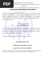 Forma 14 100forma 14 100 IVSS EXCEL | PDF