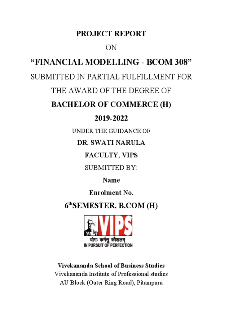 Financial Modelling Project Report | PDF | Microsoft Excel | Capital ...