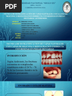 Oclusion Fosa Cuspide | PDF | Anatomia dental | Diente